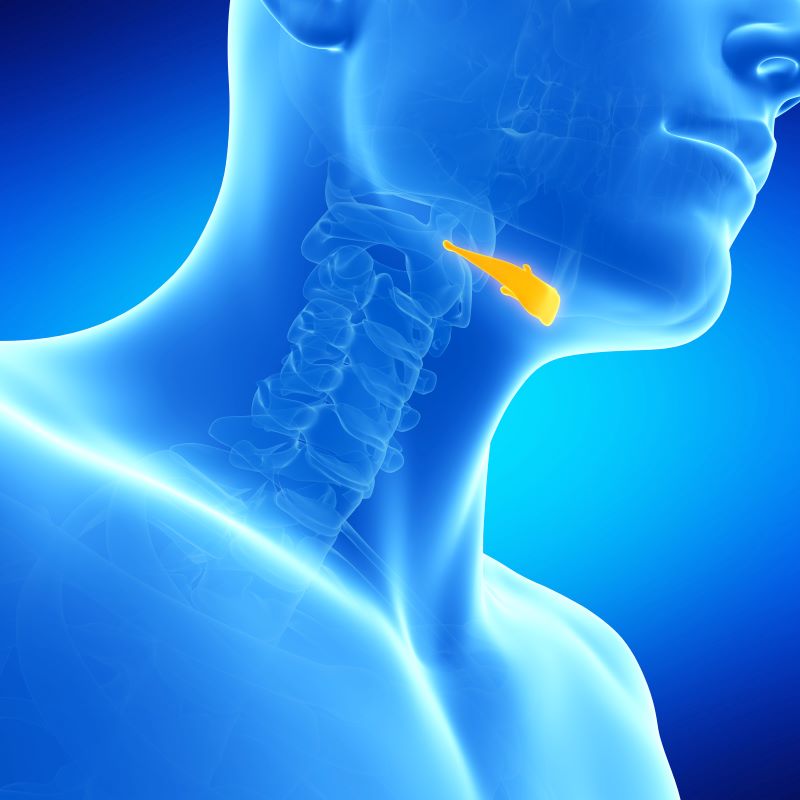 Hyoid Advancement for Sleep Apnea: The Basics